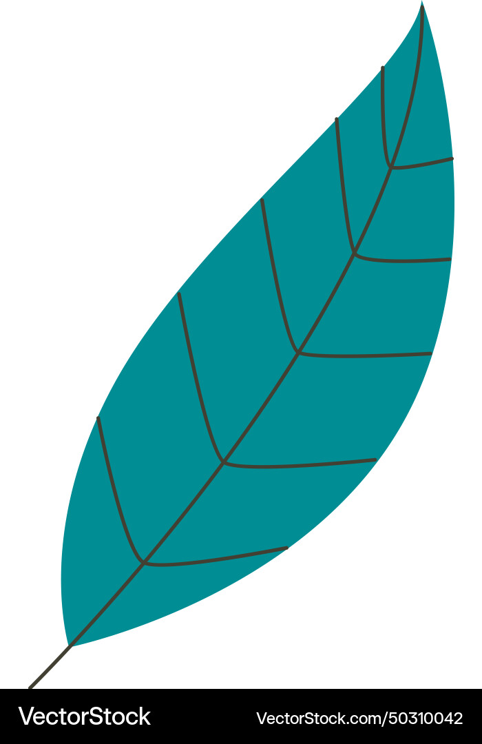 Lemon tree leaf Royalty Free Vector Image - VectorStock