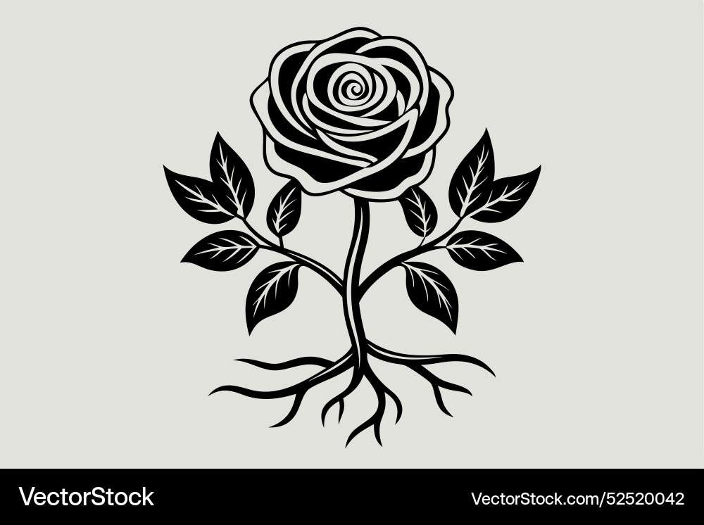 Rose flower root silhouette p Royalty Free Vector Image