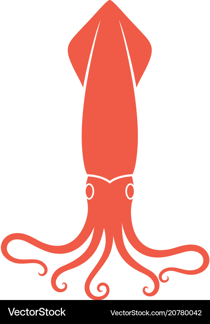 Squid Royalty Free Vector Image - VectorStock