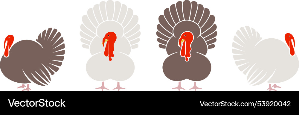 Turkey Royalty Free Vector Image - VectorStock