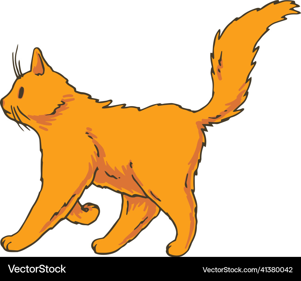 Walking ginger cat Royalty Free Vector Image - VectorStock