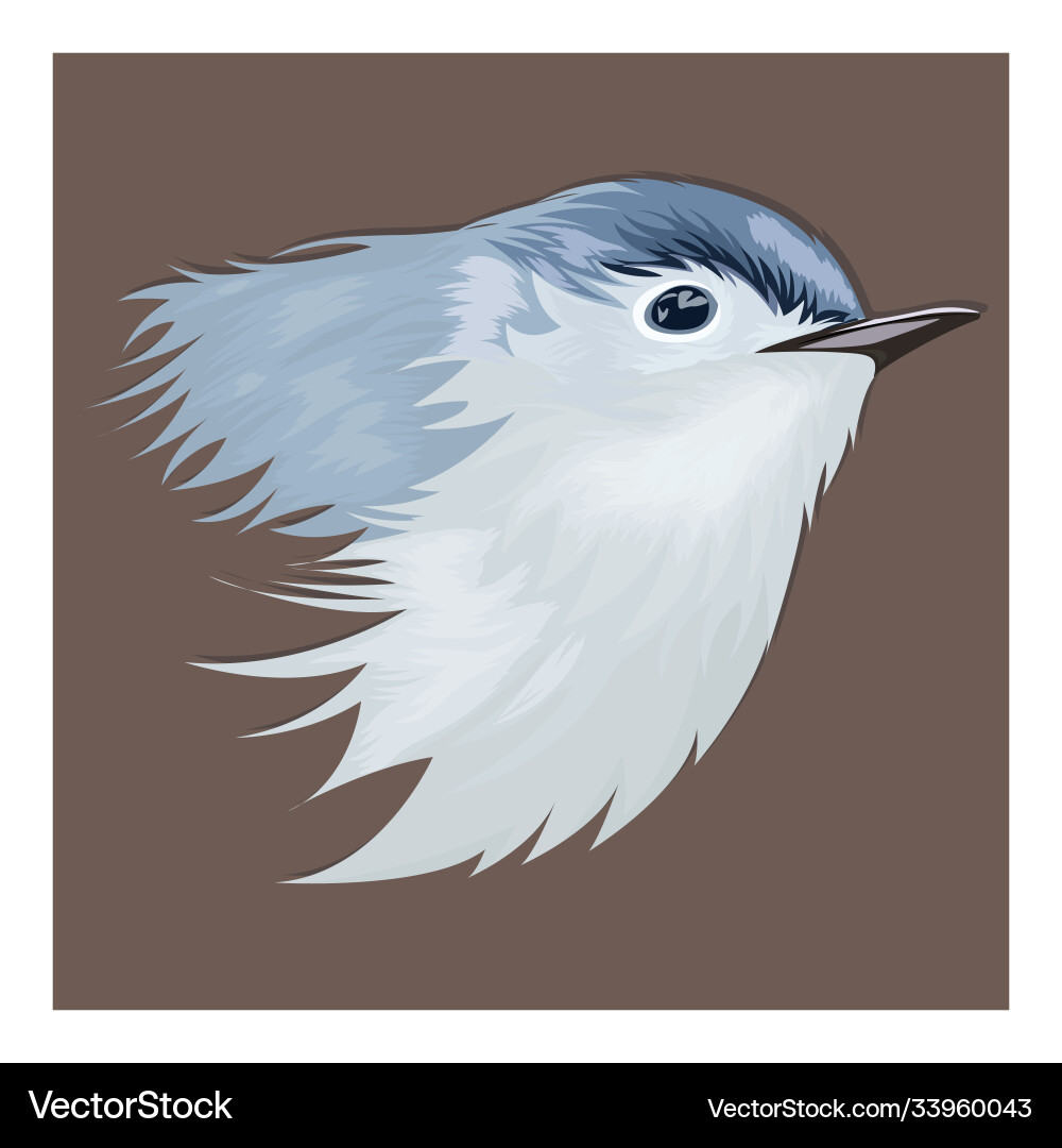 Cartoon bird hand drawing Royalty Free Vector Image