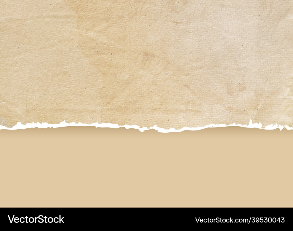 Grunge torn paper background Royalty Free Vector Image