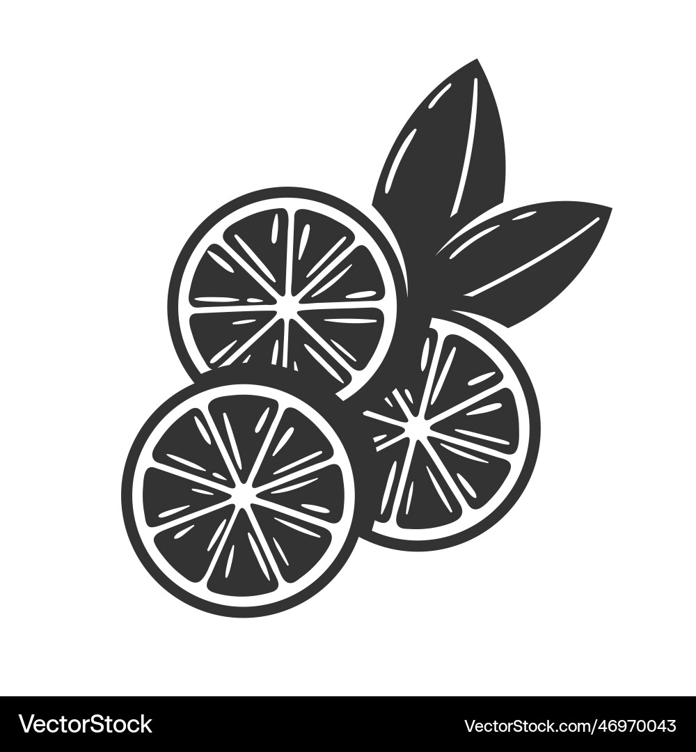 Lemon icons isolated on white background Vector Image