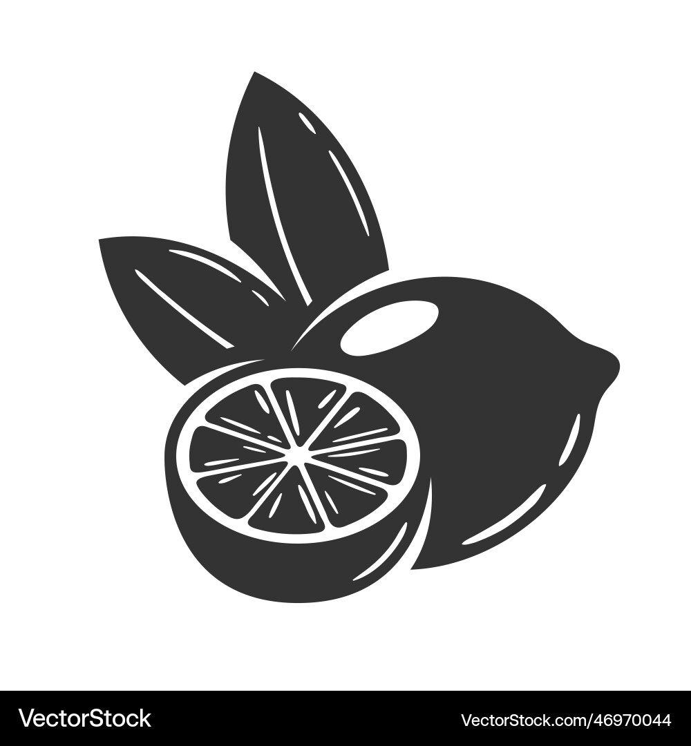 Lemon icons isolated on white background Vector Image