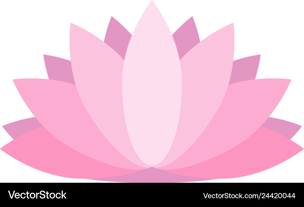 Lotus flat on white Royalty Free Vector Image - VectorStock