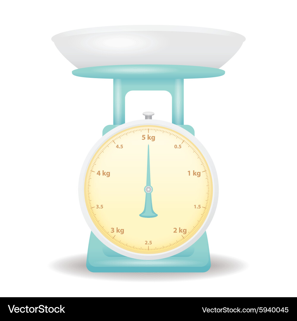 Light blue color weight scale market isolate Vector Image