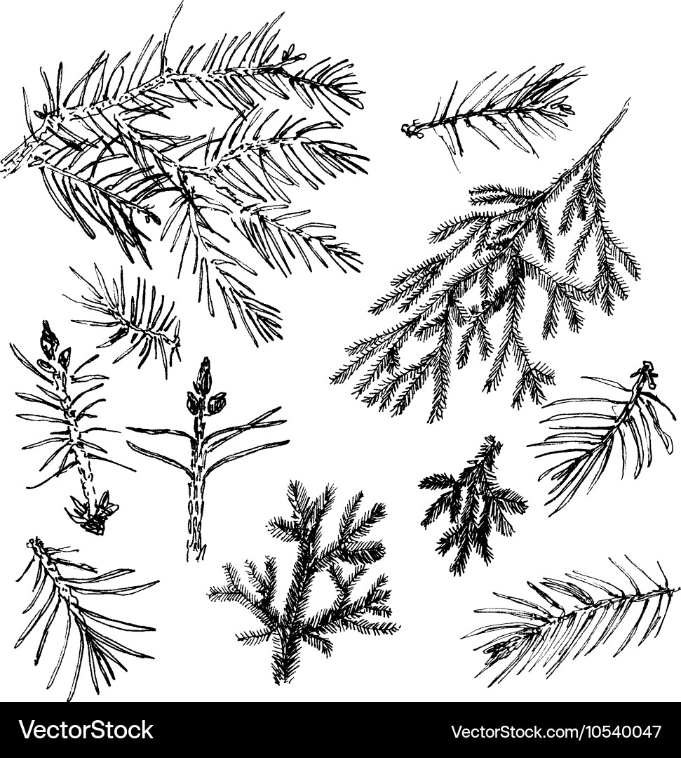 Collection with needles Royalty Free Vector Image