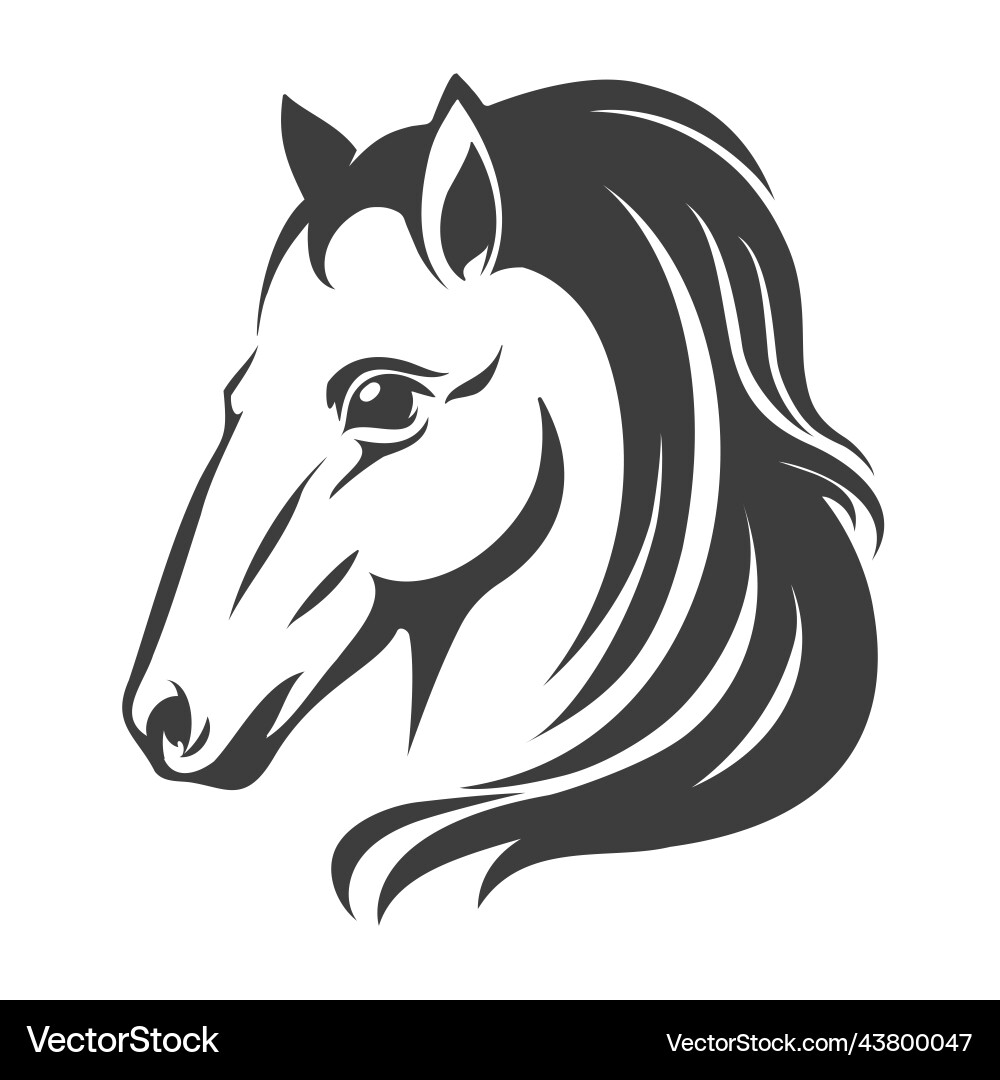 Elegant Stallion Head Sketch Royalty Free Vector Image