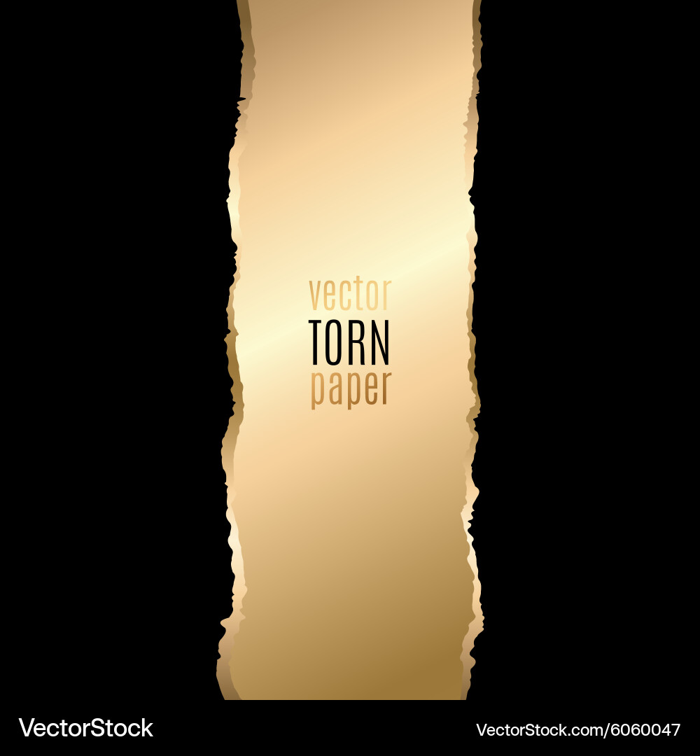 Gold and black torn paper Royalty Free Vector Image