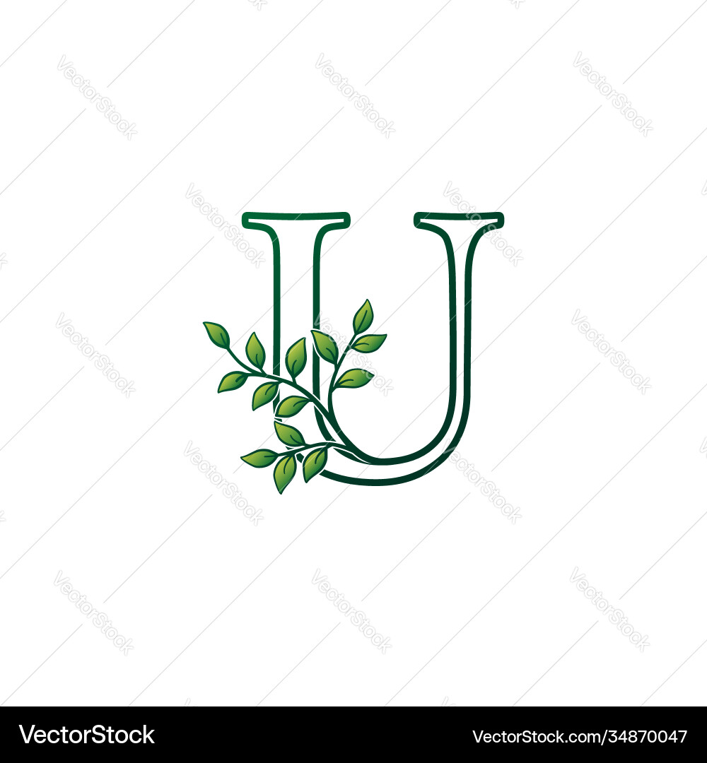 Monogram u letter logo concept green nature Vector Image