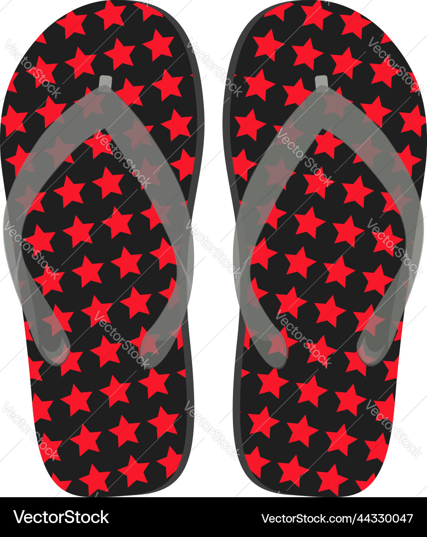 Pair of slippers on a white background Royalty Free Vector