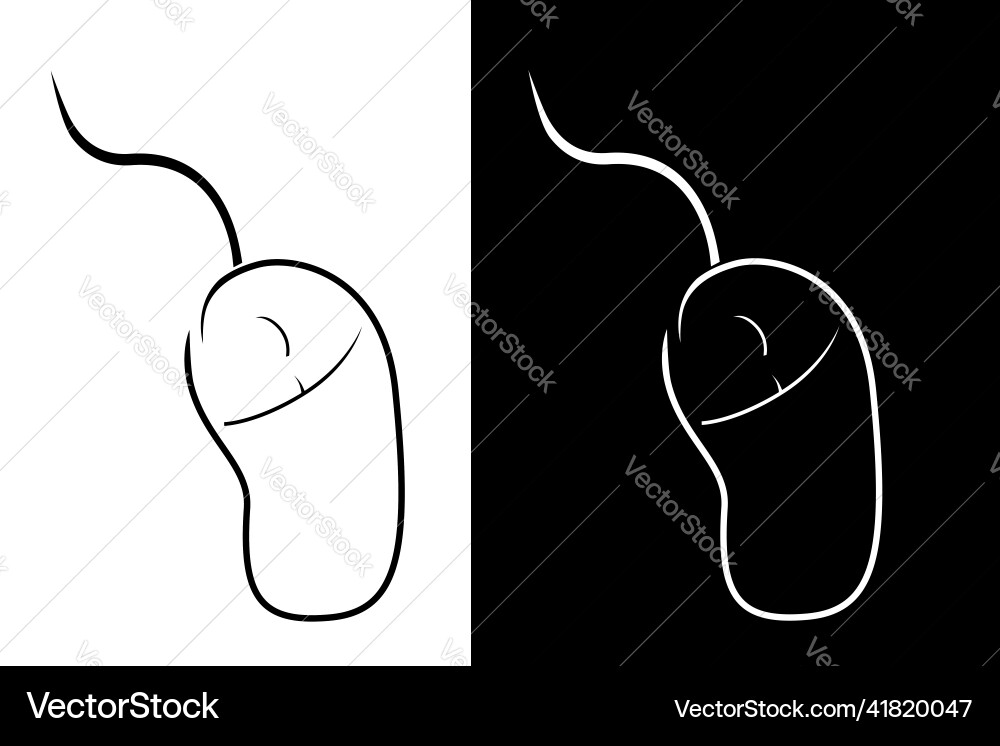 Simple set 2 outline wired computer mouse white Vector Image