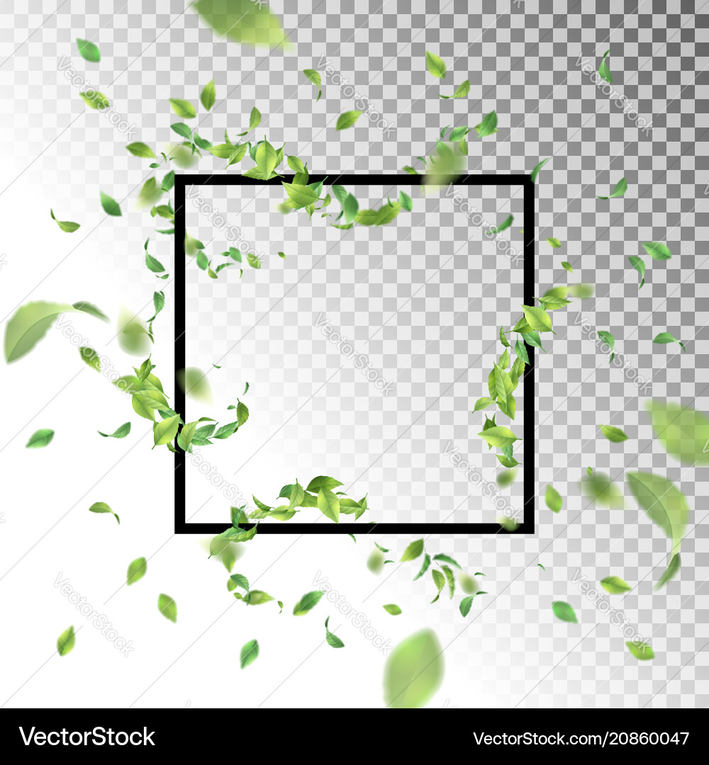 Square frame with leaves Royalty Free Vector Image