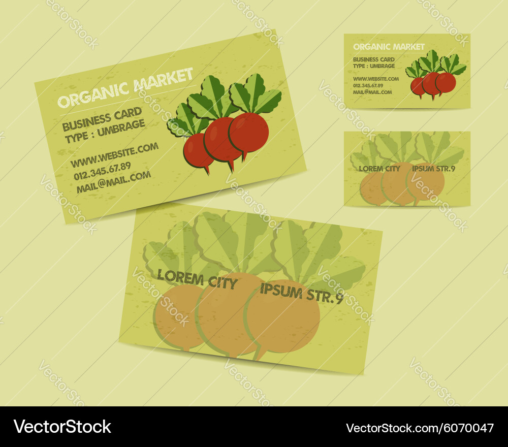 Summer farm fresh branding identity elements Vector Image