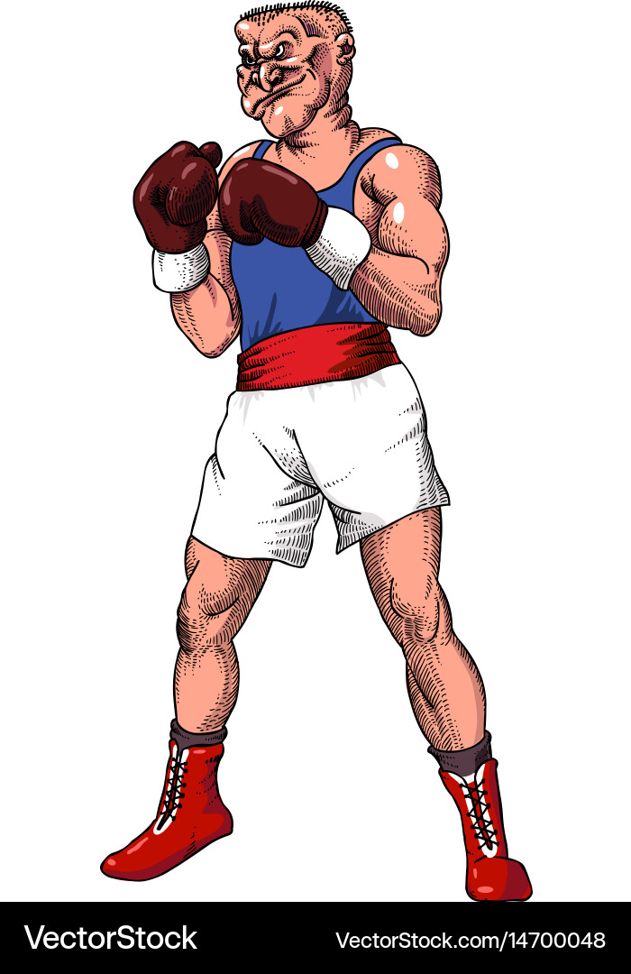 Cartoon image of boxer Royalty Free Vector Image