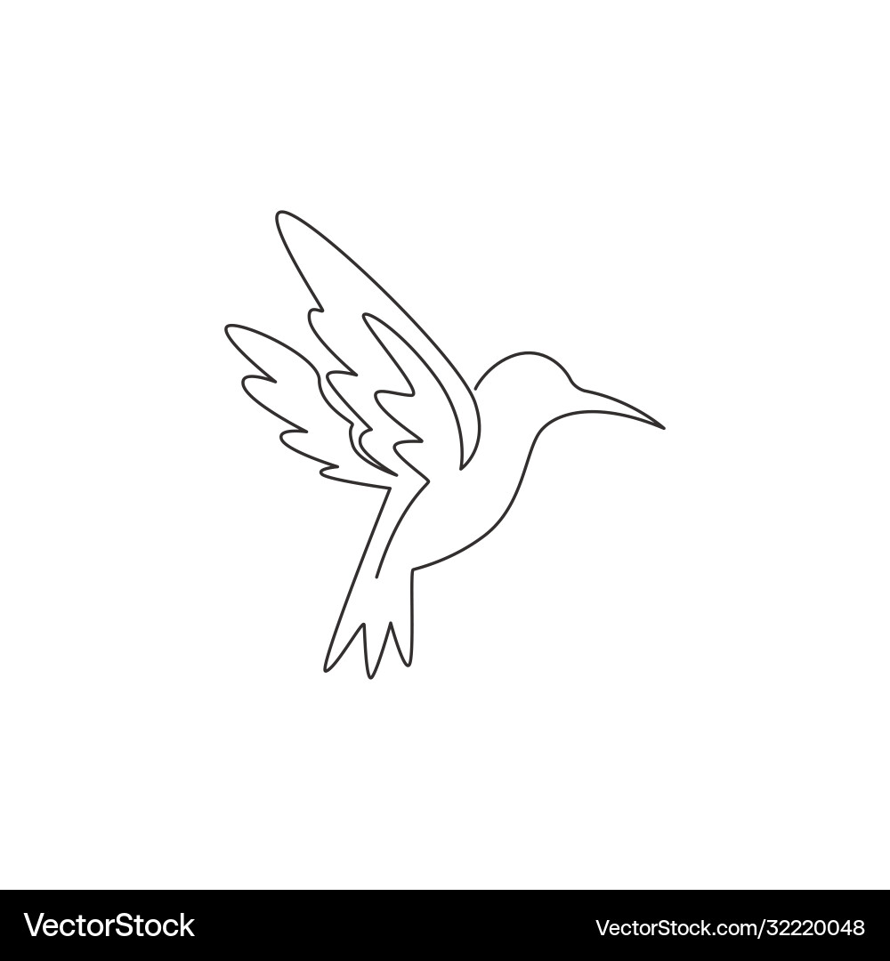 One single line drawing cute hummingbird Vector Image