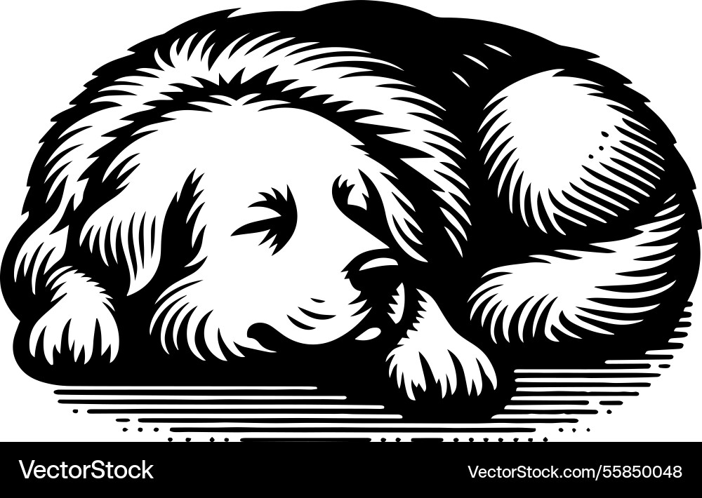 Simple great pyrenees sleeping icon vintage logo Vector Image