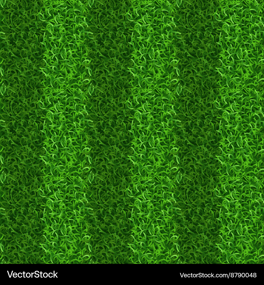 Grass Field Texture
