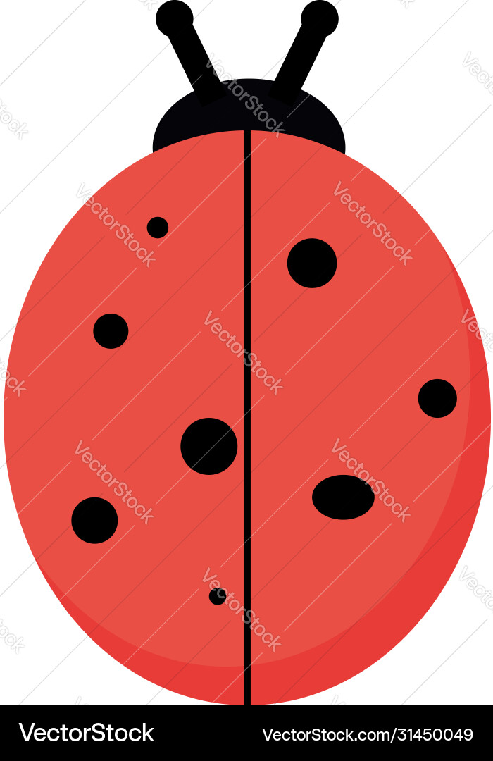 Flat ladybug on white background Royalty Free Vector Image