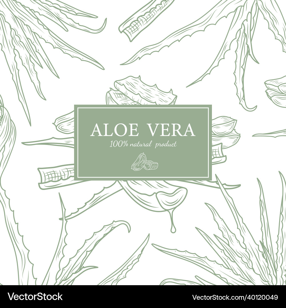 Hand drawn aloe vera card Royalty Free Vector Image