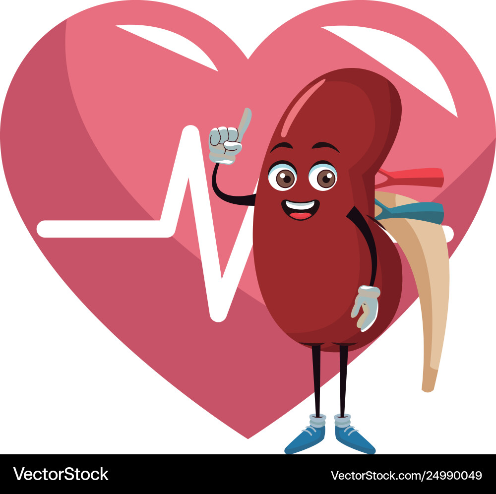 Kidney funny cartoon Royalty Free Vector Image