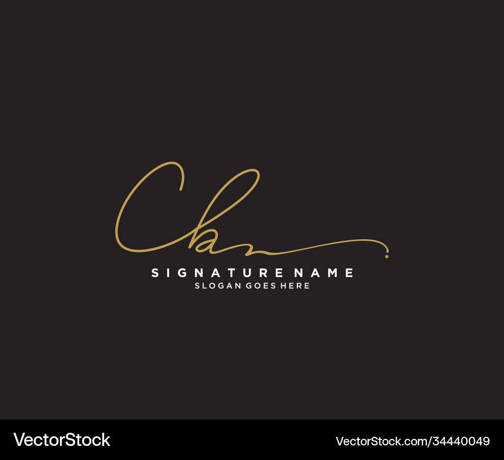 Letter cb signature logo template Royalty Free Vector Image