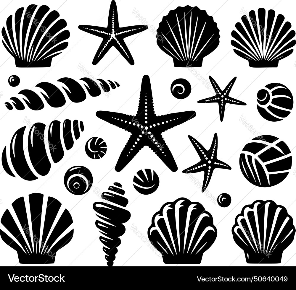 Sea shells and starfish pattern Royalty Free Vector Image