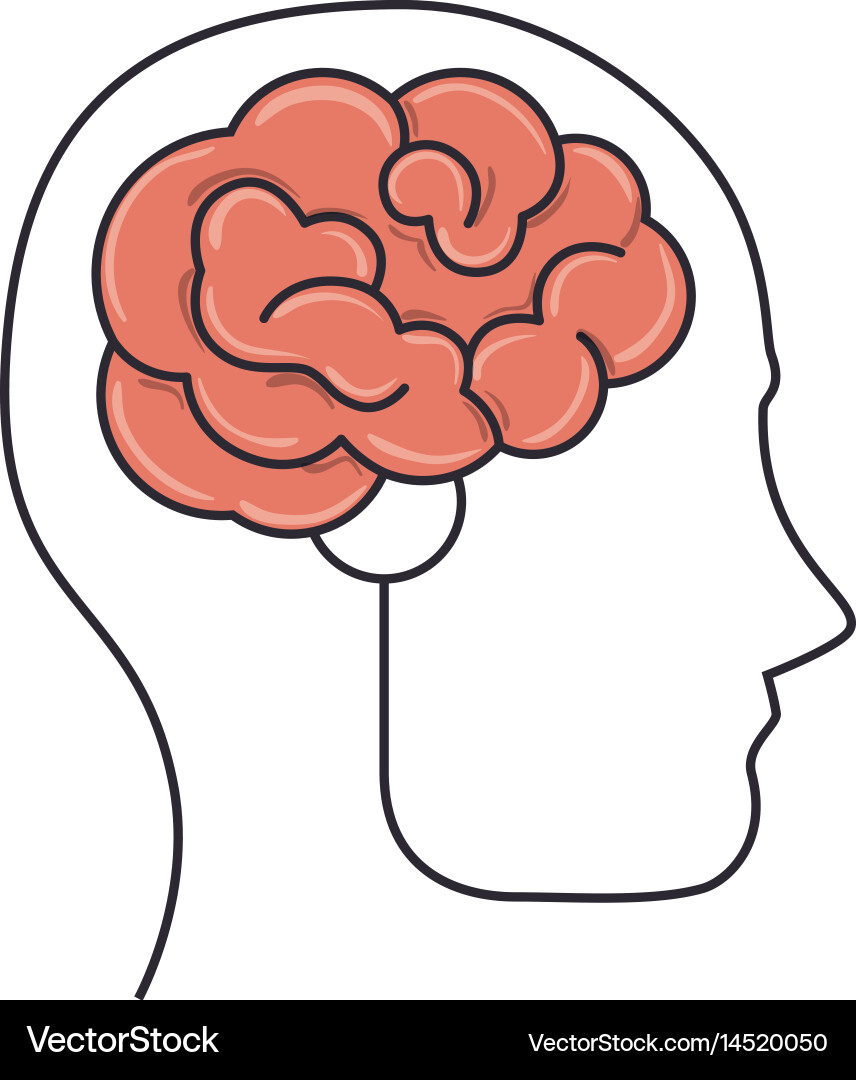 Human brain intelligence Royalty Free Vector Image