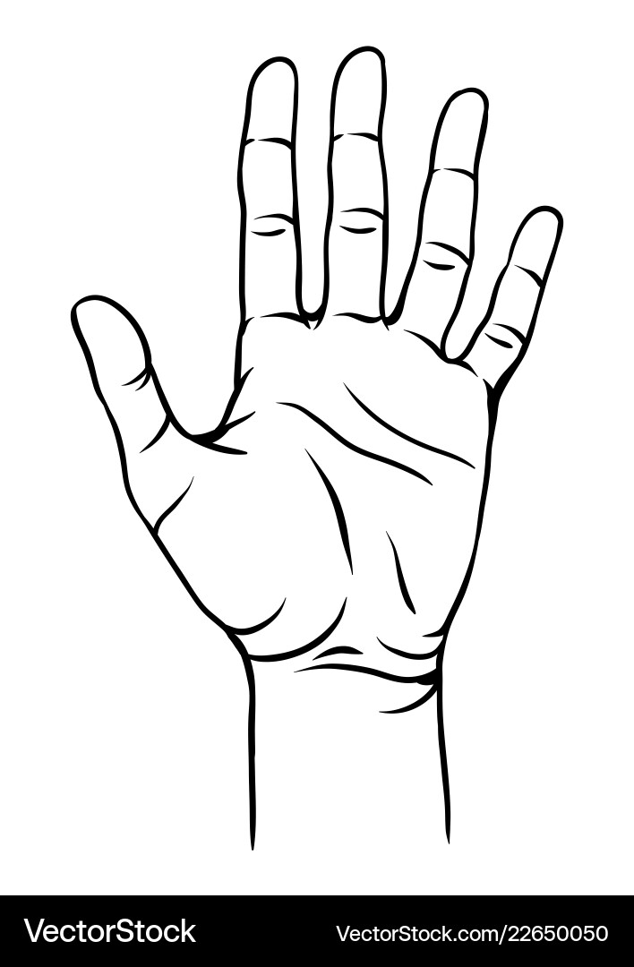 Human hand Royalty Free Vector Image - VectorStock
