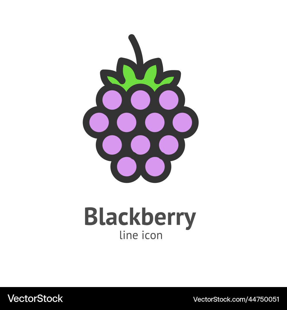 Blackberry Berry Icon Royalty Free Vector Image