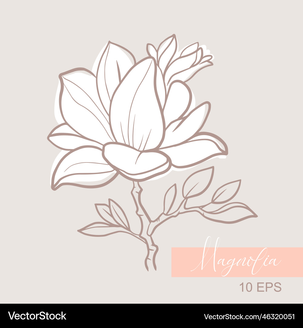 Graphic linear of a sprig Royalty Free Vector Image