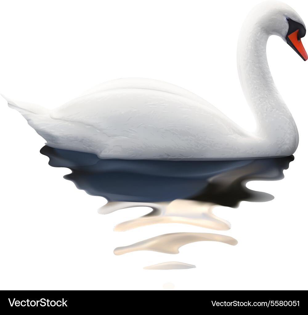 Swan Royalty Free Vector Image - VectorStock