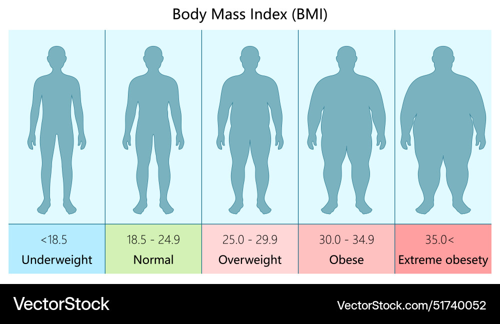 Body mass index bmi chart diagram medical science Vector Image