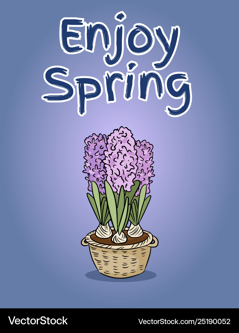 Enjoy spring postcard with hyacinth flower hand Vector Image