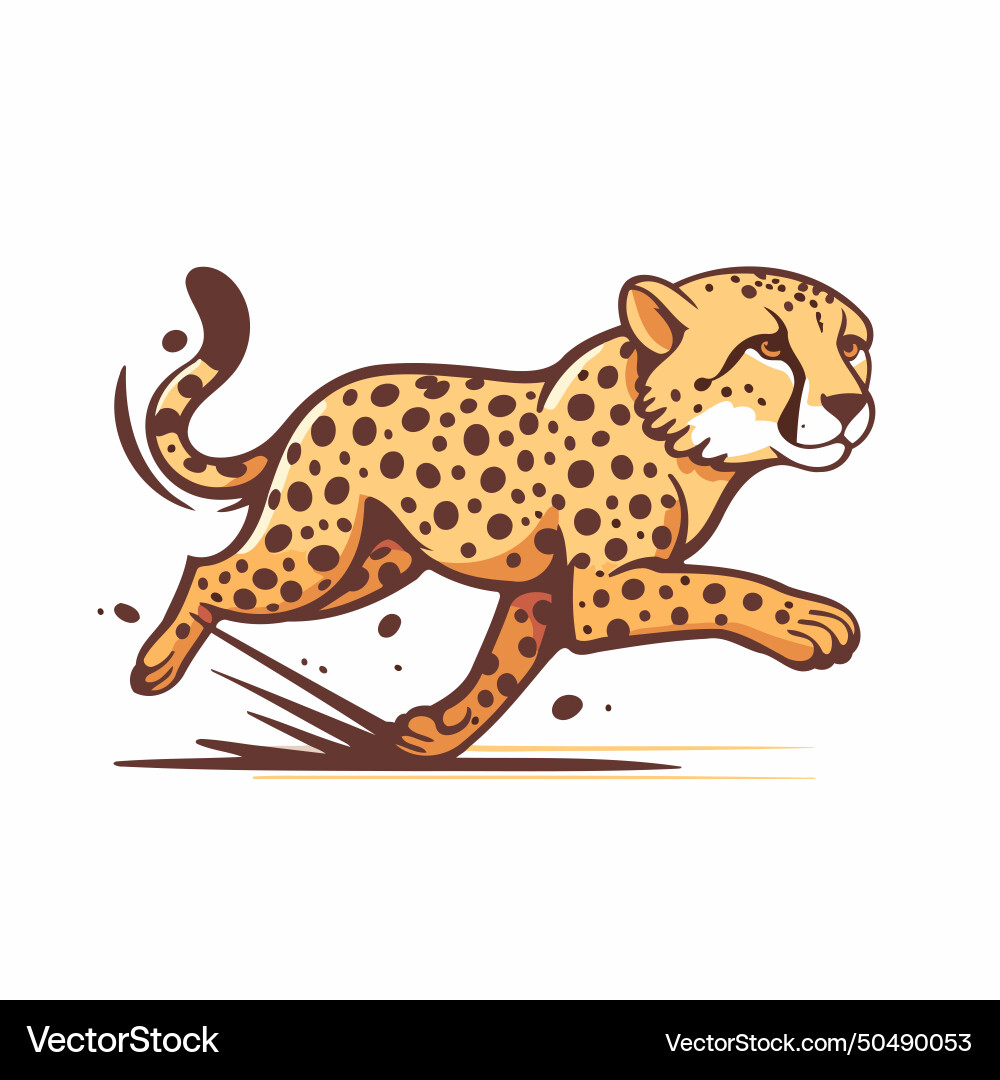 Cheetah running isolated on white background Vector Image