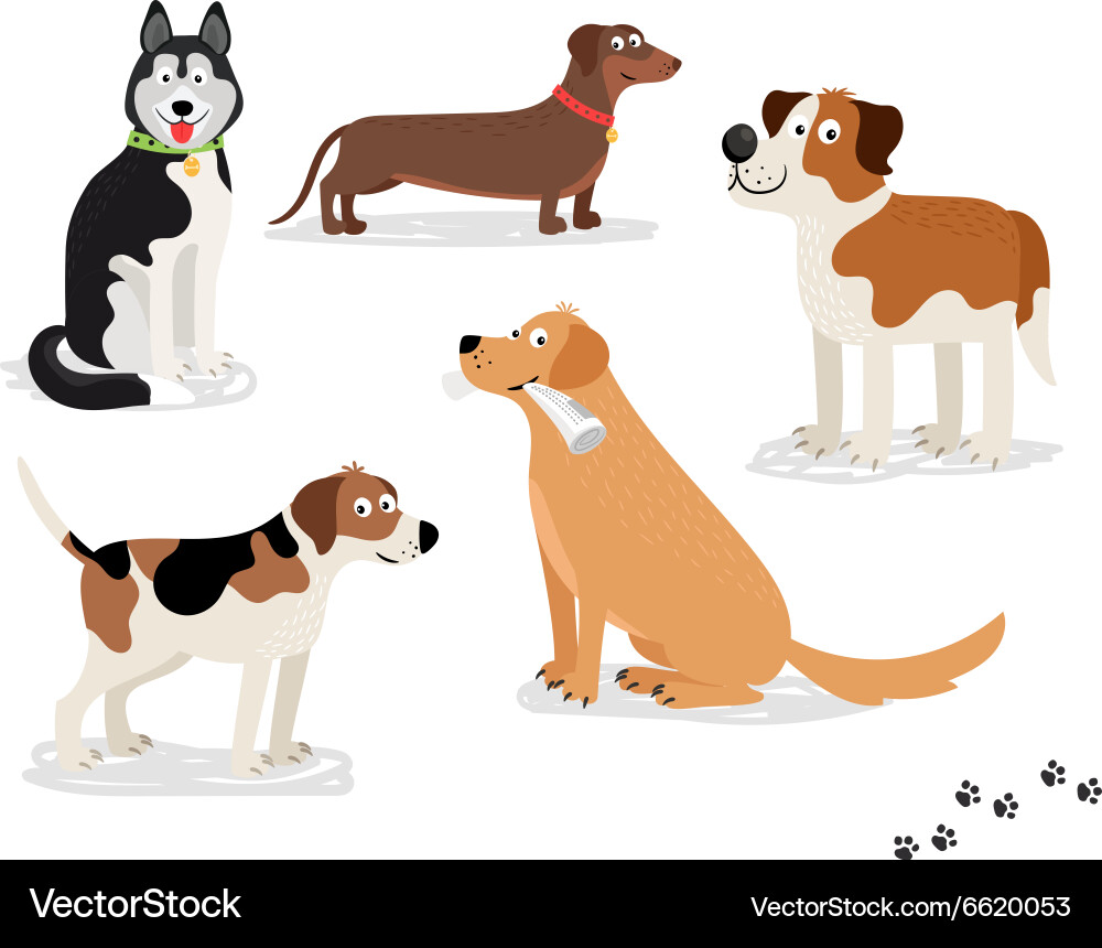 Cute Dog Characters on White Royalty Free Vector Image