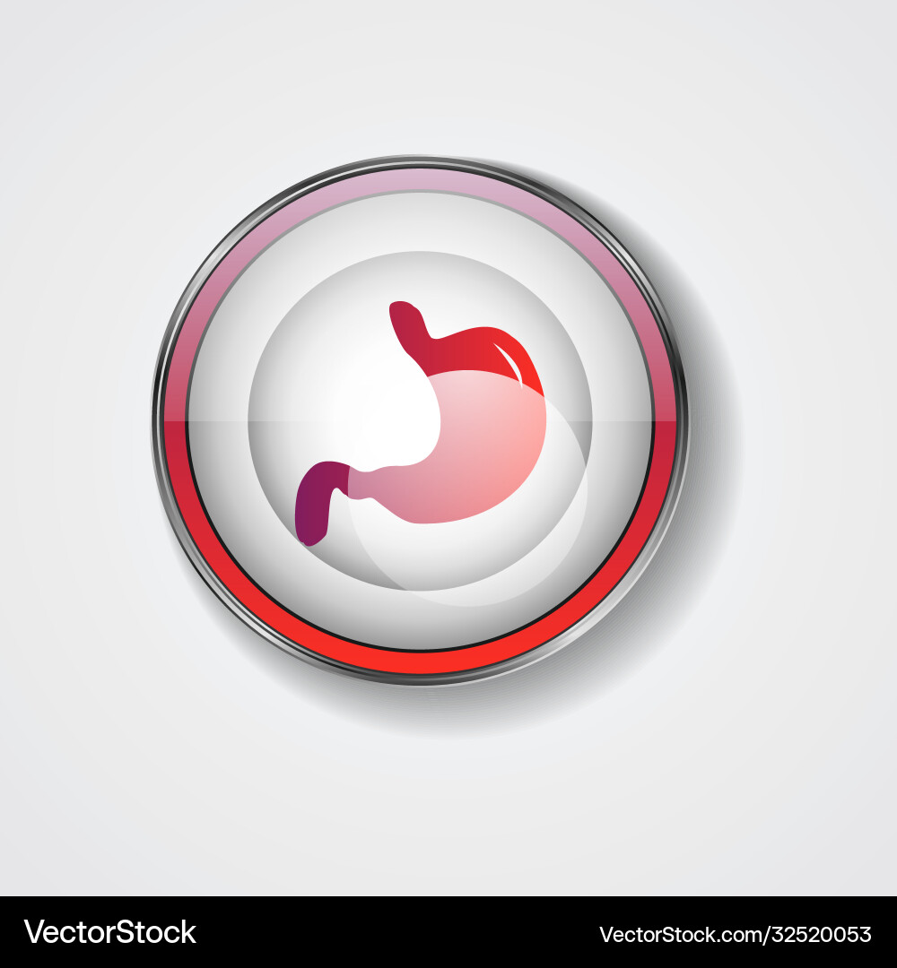 Flat design humans stomach graphic Royalty Free Vector Image