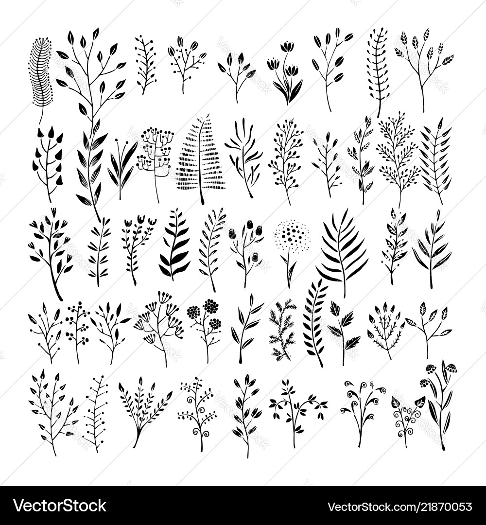 Floral elements in doodle style Royalty Free Vector Image