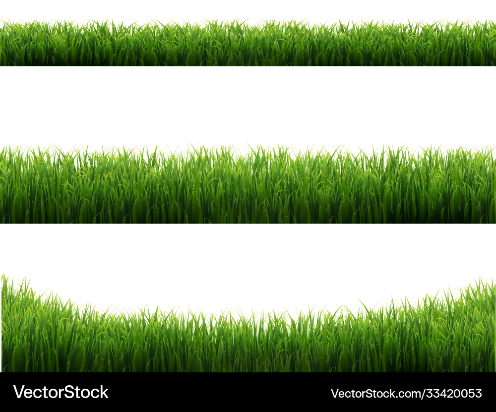 Green grass frames set transparent background Vector Image
