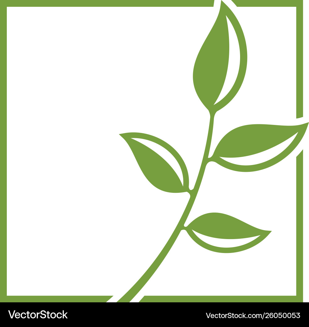 Leaf logo template Royalty Free Vector Image - VectorStock