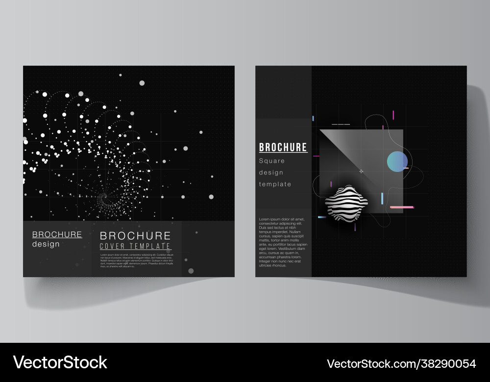 Layout two square covers templates Royalty Free Vector Image