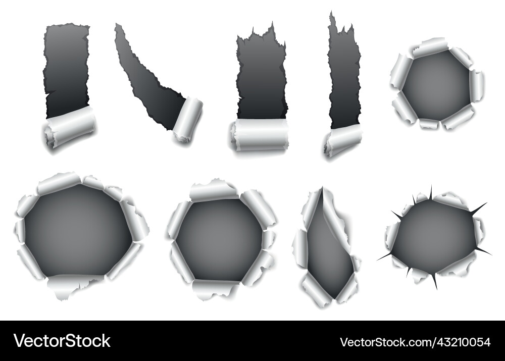 Paper hole collection of gray torn Royalty Free Vector Image