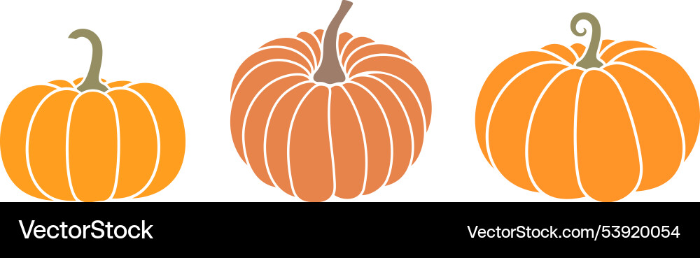 Pumpkin Royalty Free Vector Image - VectorStock