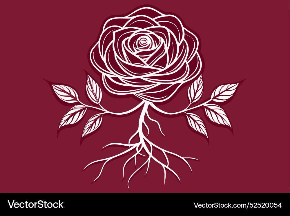 Rose flower root silhouette q Royalty Free Vector Image