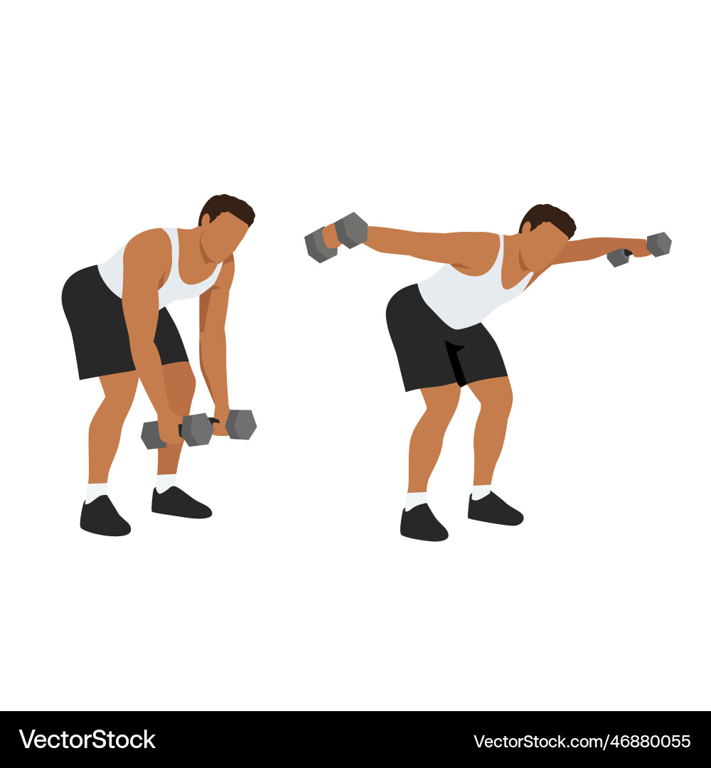 Man doing dumbbell bent over reverse flyes Vector Image