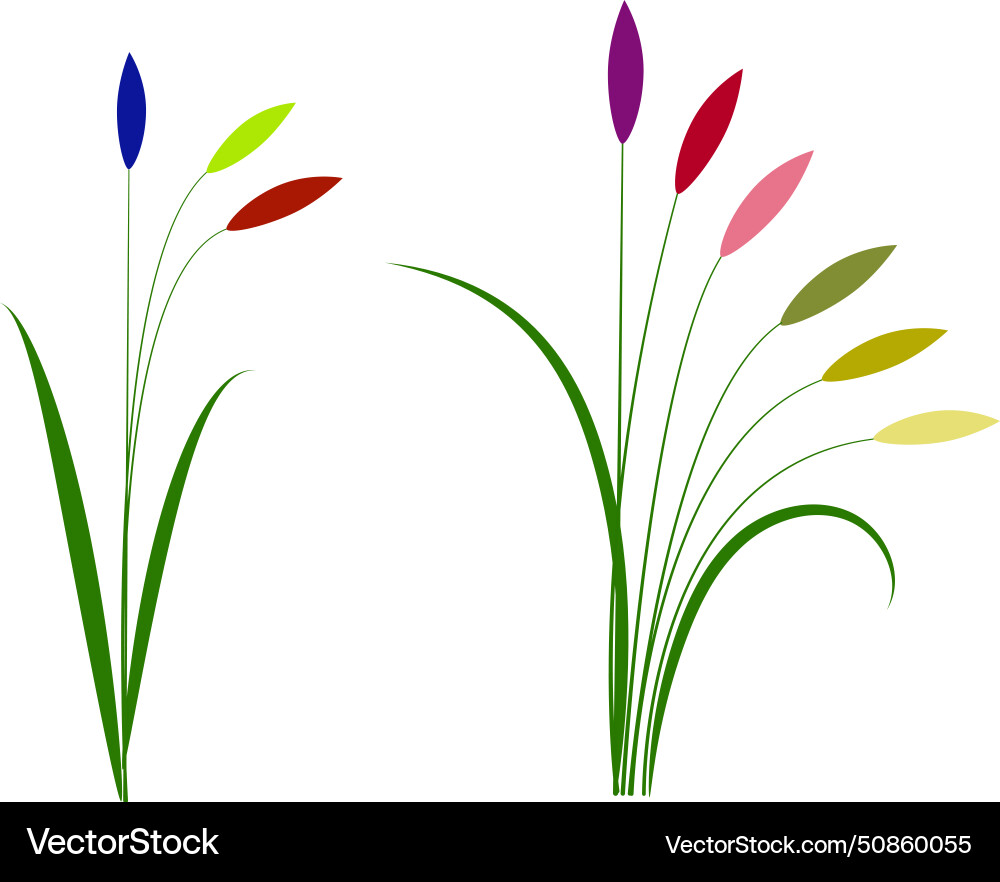 Two flowers Royalty Free Vector Image - VectorStock