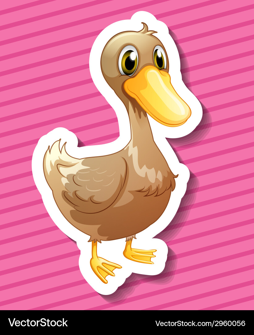 Duck Royalty Free Vector Image - VectorStock