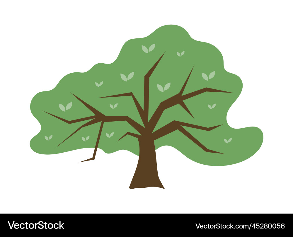 Green tree with branches and spreading crown Vector Image