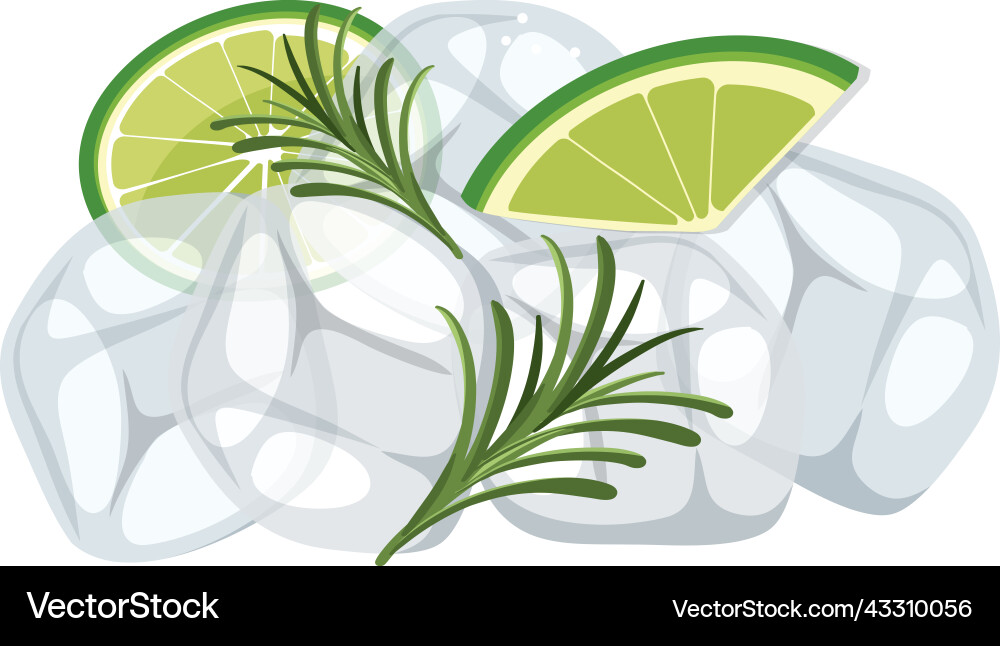 Ice with lime sliced and rosemary Royalty Free Vector Image